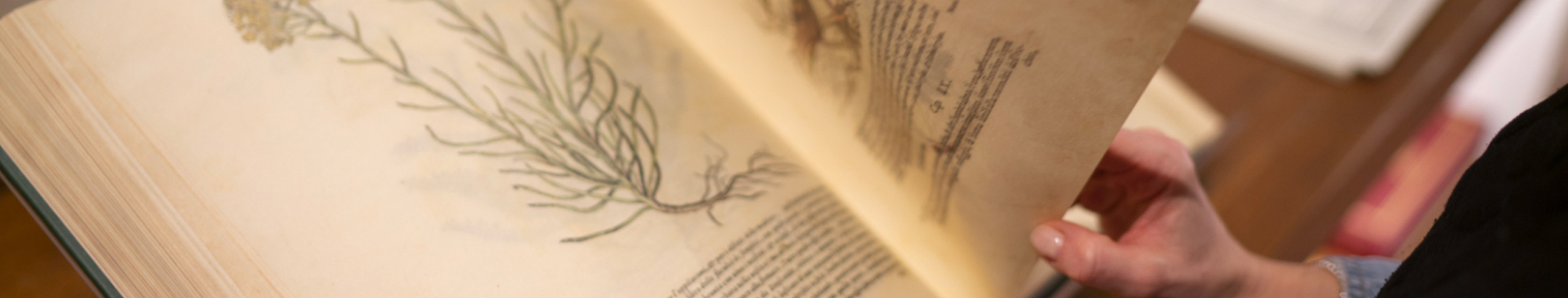 Aboca Museum - Aboca